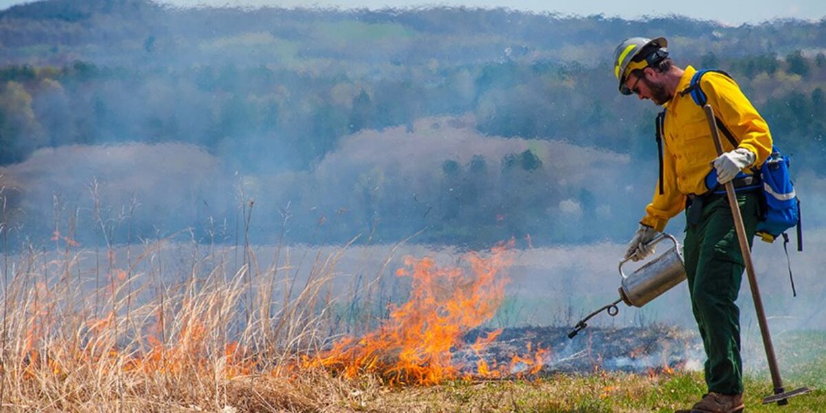 How Prescribed Burns Protect Nebraska Grasslands